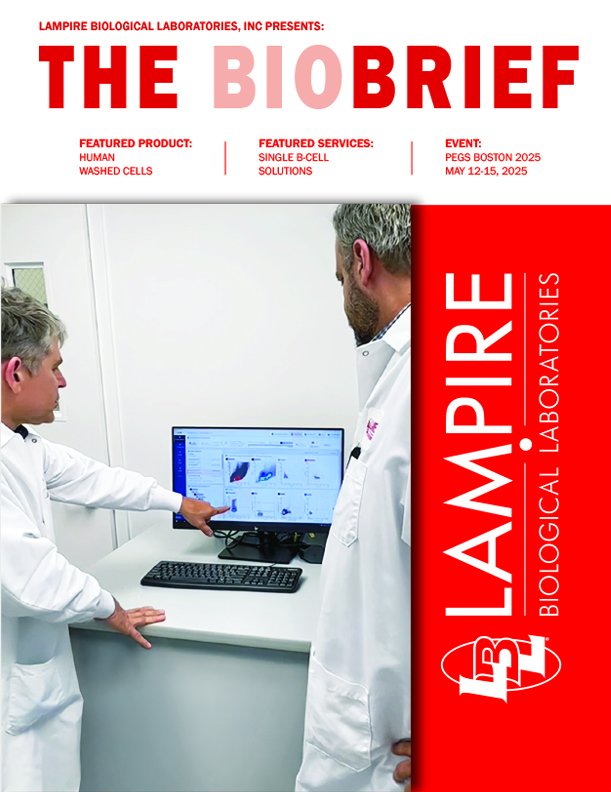 Monoclonal Antibody Services | Lampire Biological Laboratories, Inc.